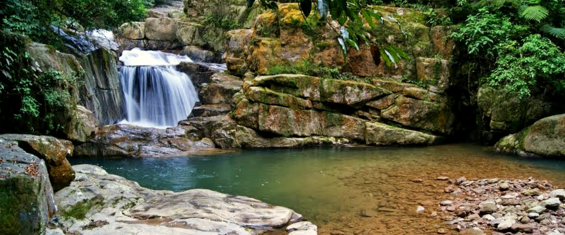 Parque Ecológico do Perequê, em Cubatão - Revista Nove